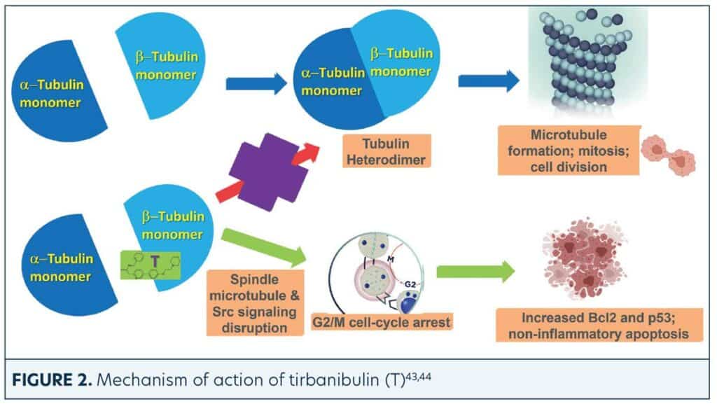 Tirbanibulin 1% Ointment for the Treatment of Actinic Keratosis: New ...