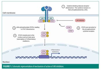 Review on Novel Oral Therapies for Psoriasis | JCAD - The Journal of ...