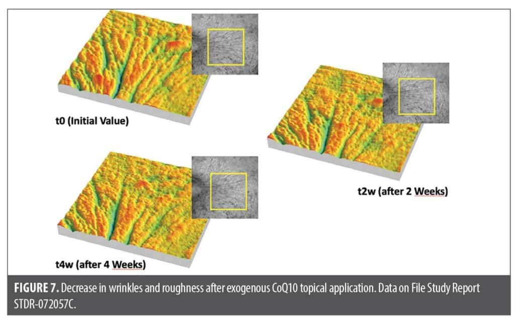 The Role of Coenzyme Q10 in Skin Aging | JCAD - The Journal of Clinical ...